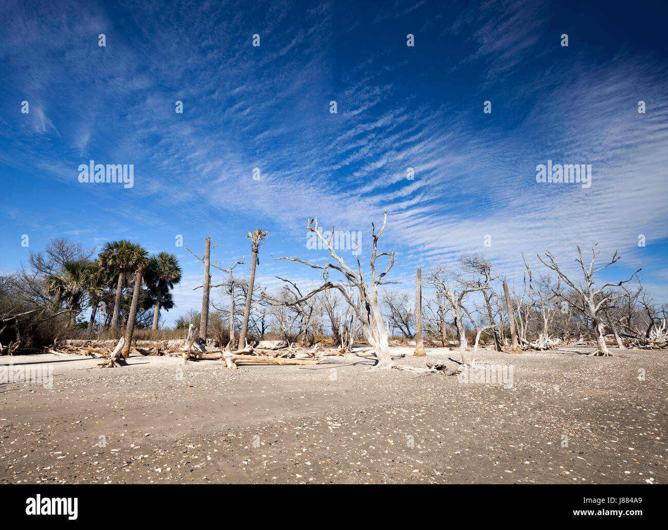 Botany Bay beach, Edisto Island, South Carolina, USA Stock Photo - Alamy