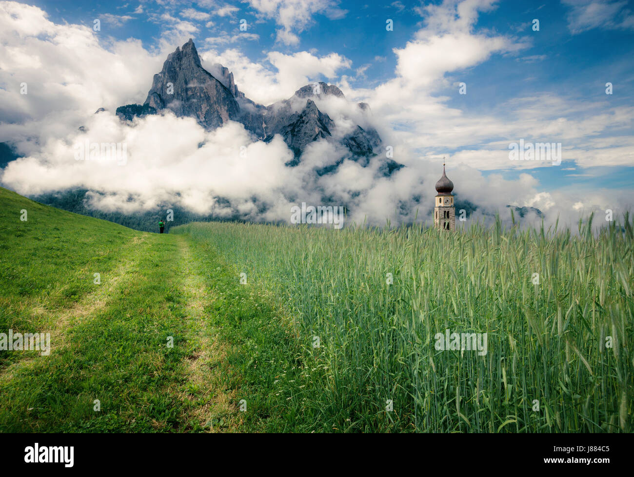 Summer alpine meadow. Dolomites mountains, Italy Stock Photo - Alamy