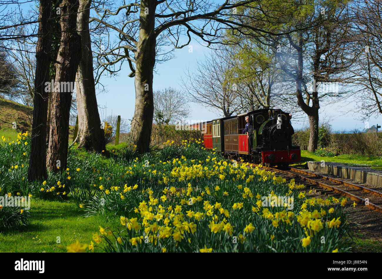 Steam Train on the Talyllyn Railway Stock Photo - Alamy
