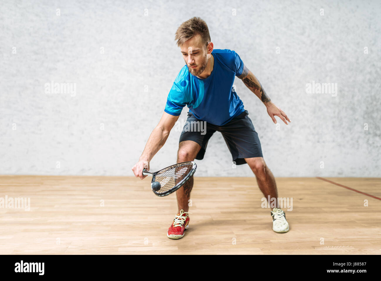 Squash game training, male player with racket and ball, indoor court on ...
