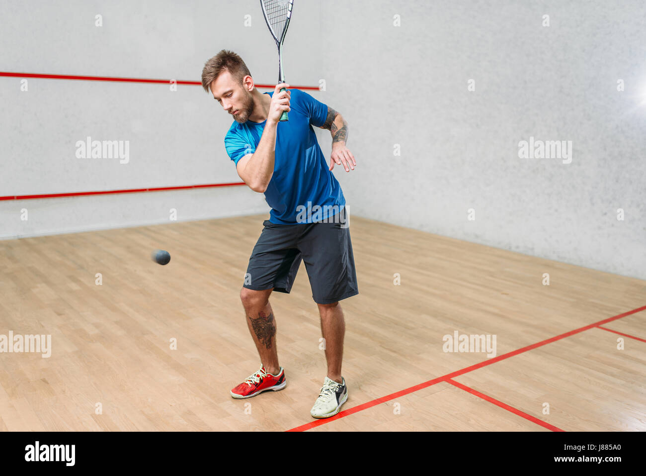 Squash game training, male player with racket and ball, indoor court on ...