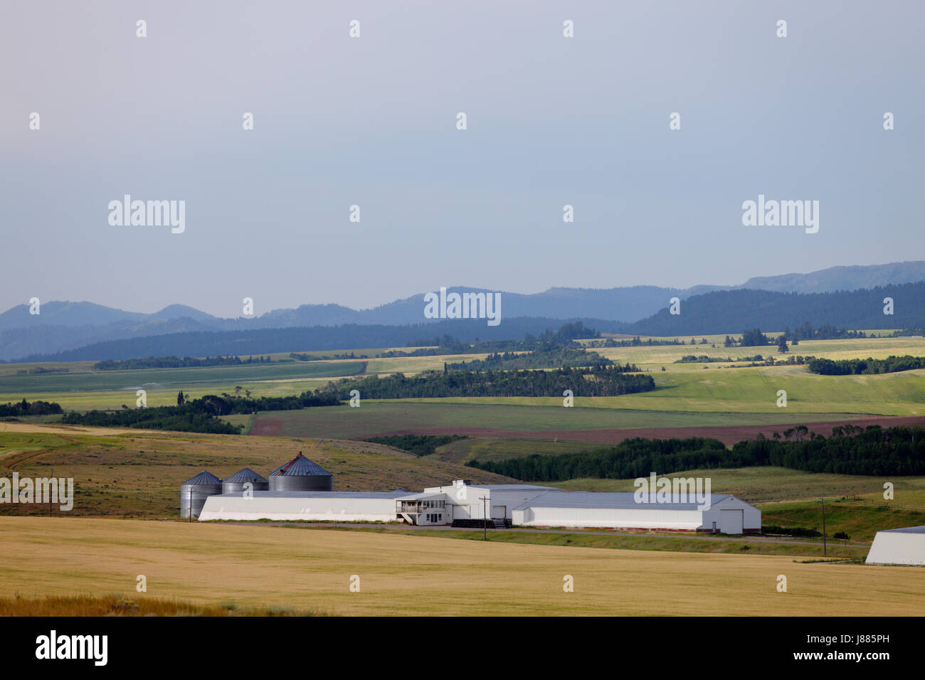 A tractor pulling farm machinery, planting wheat in the fertile farm ...