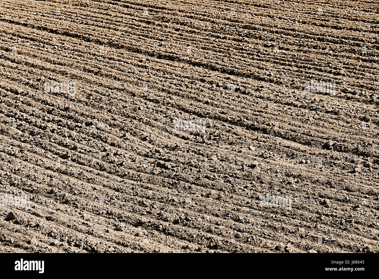 A freshly plowed farm field ready for planting Stock Photo - Alamy