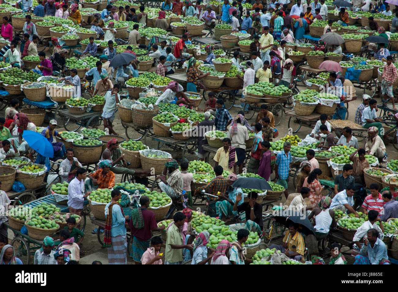 Mango Market Bangladesh Stock Photos & Mango Market Bangladesh Stock ...