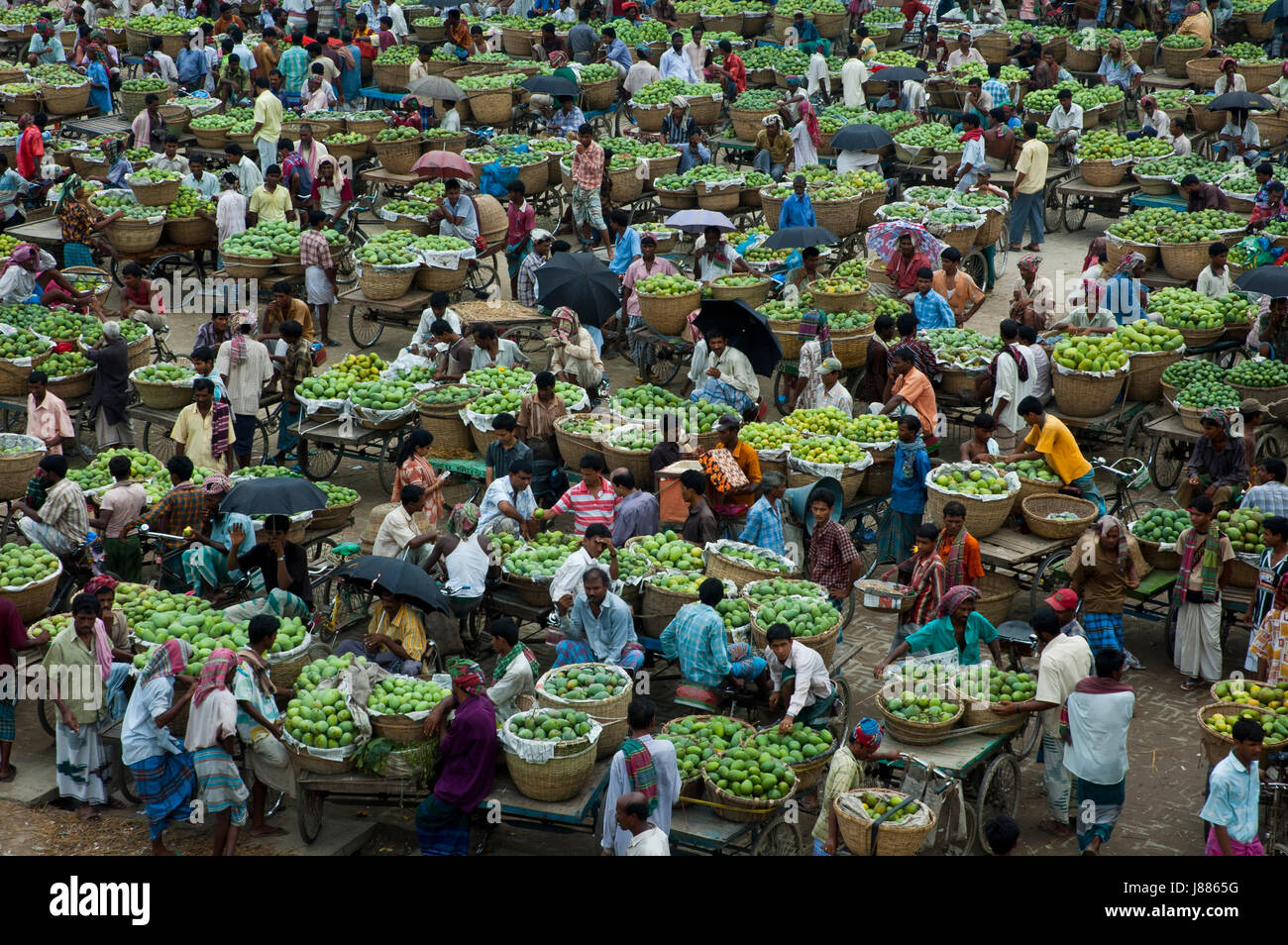 Mango Market Bangladesh Stock Photos & Mango Market Bangladesh Stock ...