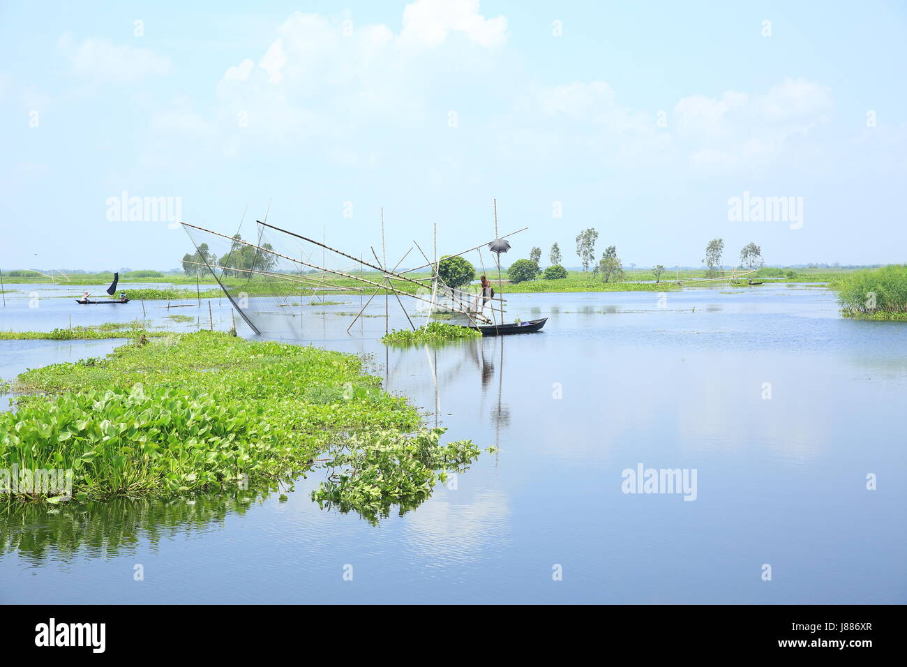 View of the Arial Beel, a large water body of 136 square kilometers ...