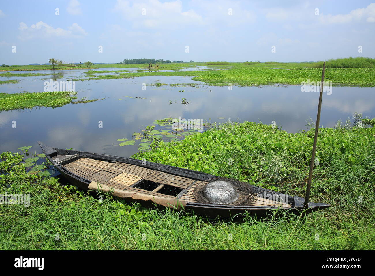View of the Arial Beel, a large water body of 136 square kilometers ...
