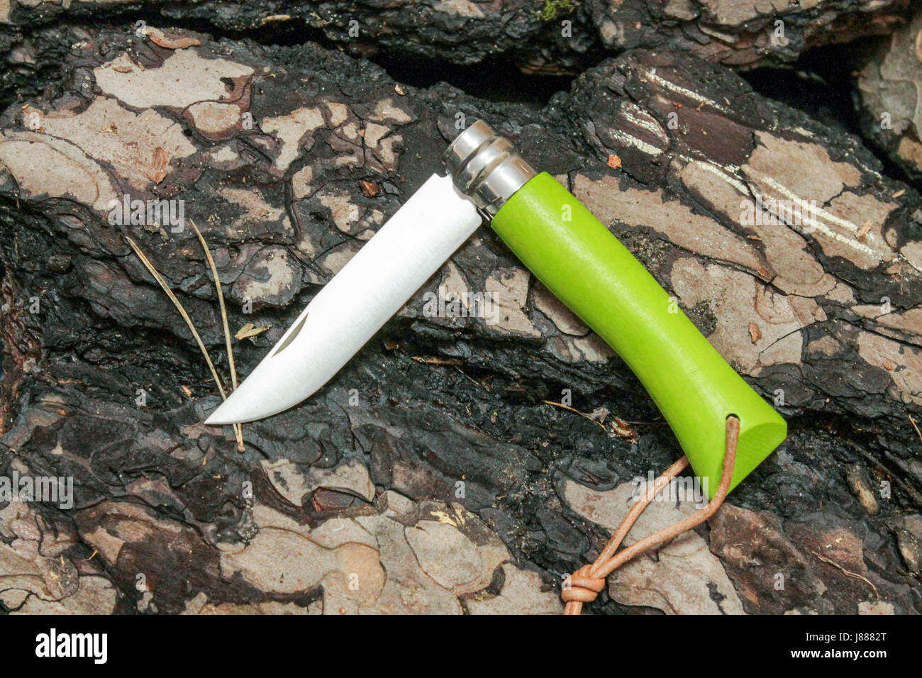 Knife for agriculture. The knife of the farmer Stock Photo - Alamy