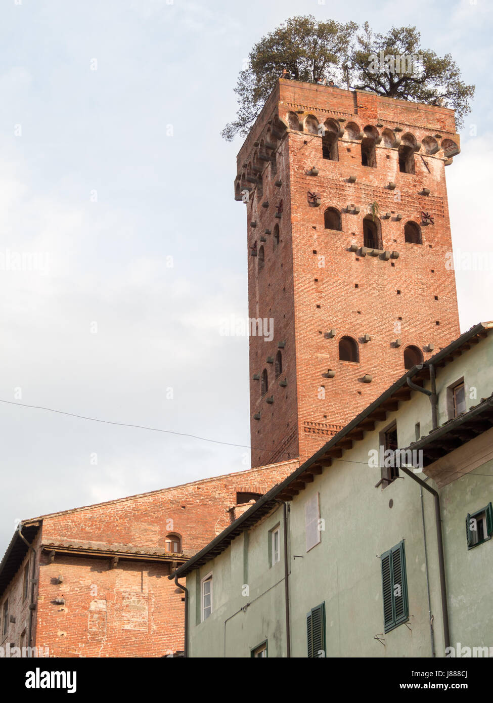Guinigi tower hi-res stock photography and images - Alamy