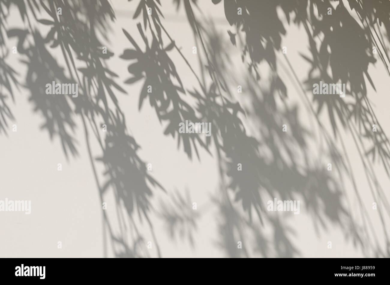 Shadows from the trees falling on the fence Stock Photo - Alamy