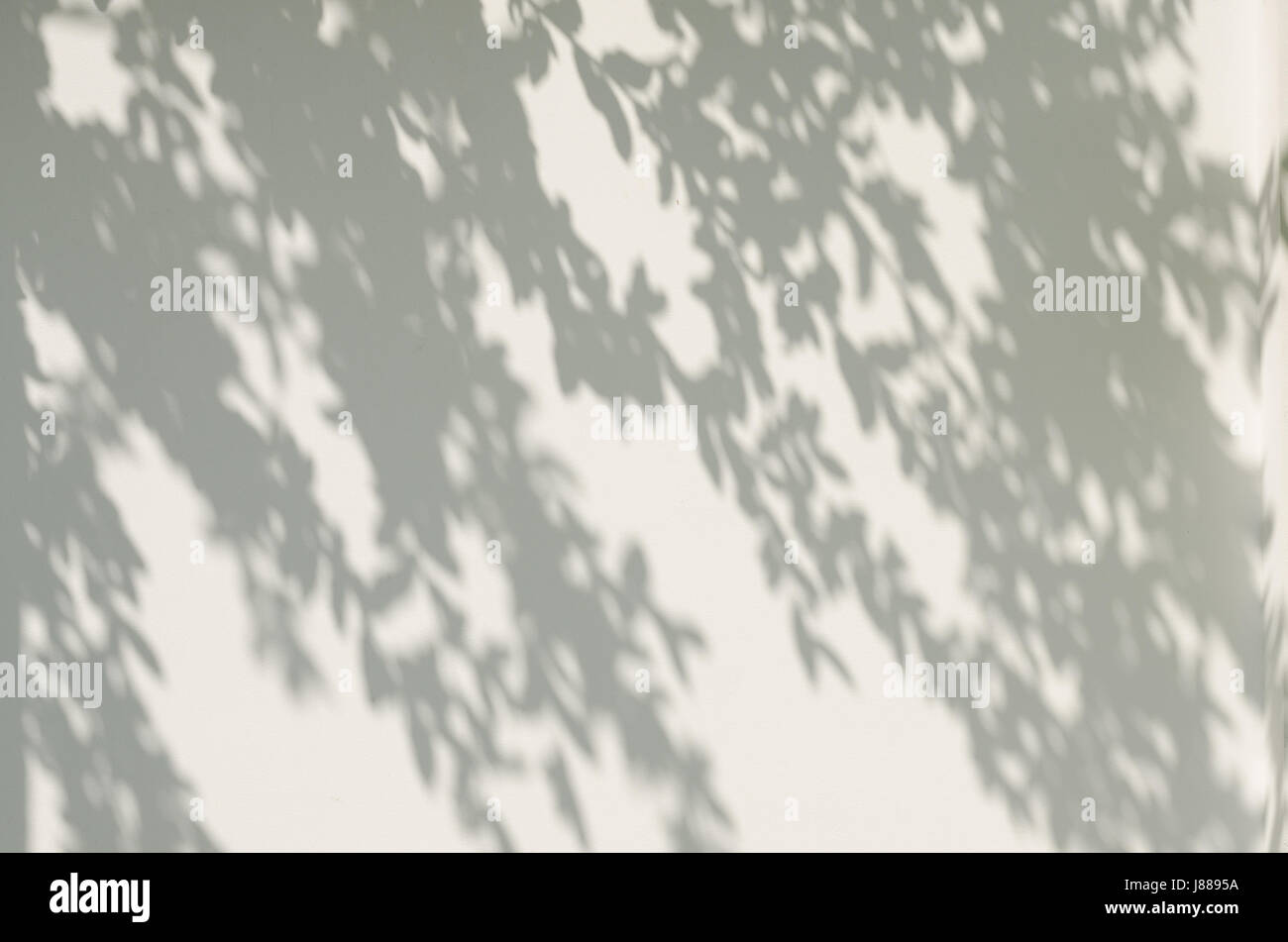 Shadows from the trees falling on the fence Stock Photo - Alamy