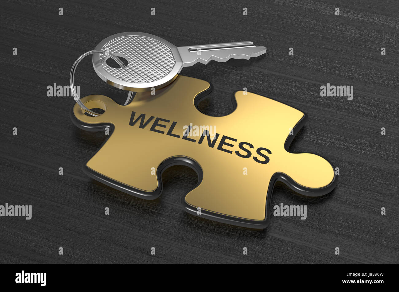 one jigsaw puzzle with text: wellness, concept illustration (3d render ...