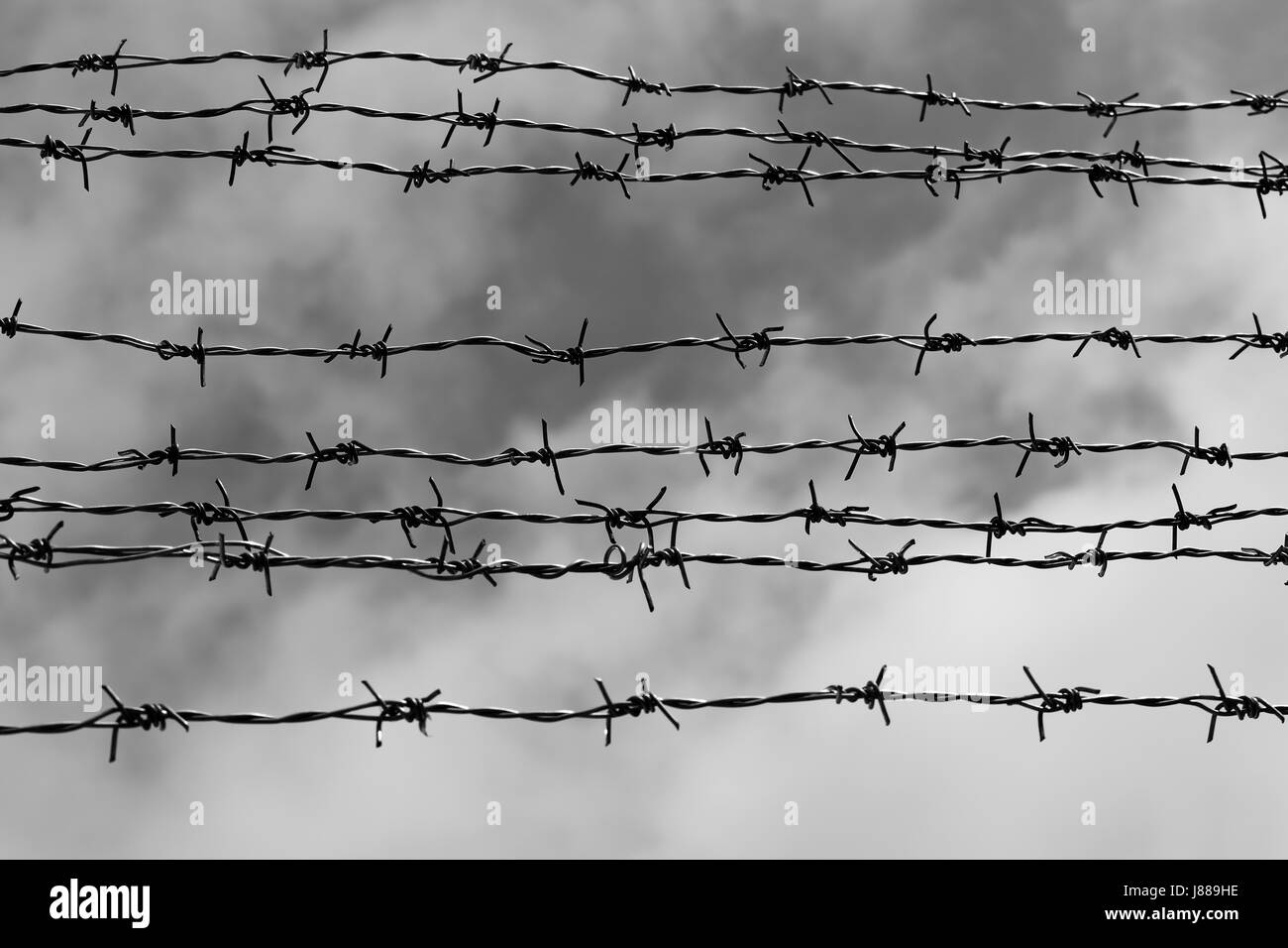 Barbed Wire (Black and White Stock Photo - Alamy