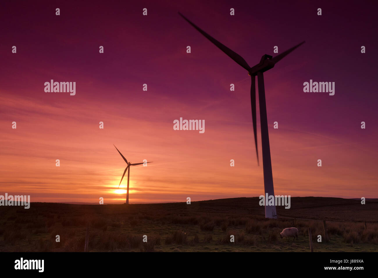 Wind turbines at sunset Stock Photo - Alamy