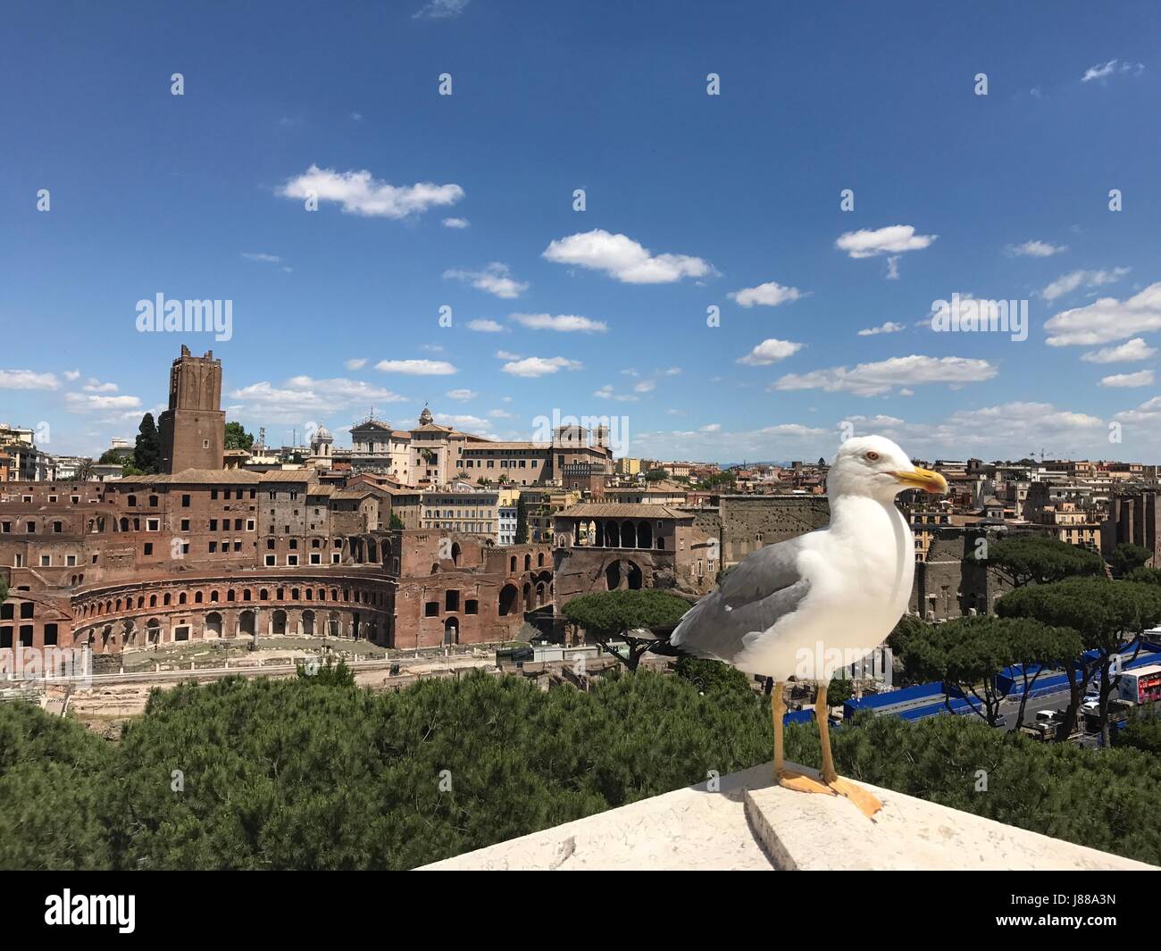 Ruins of Roman Fori Imperiali - Imperial Forum in Rome Stock Photo - Alamy