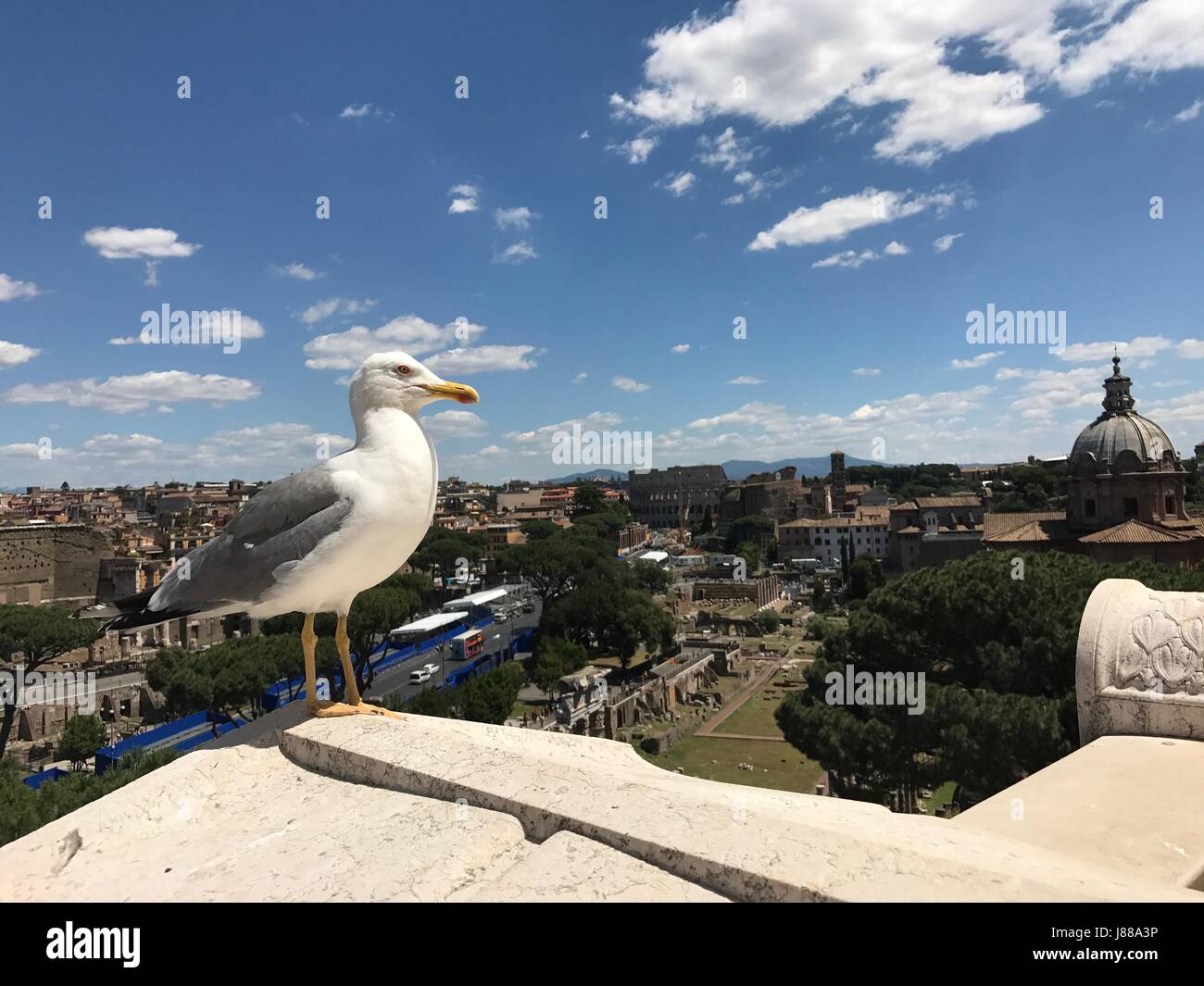 Ruins of Roman Fori Imperiali - Imperial Forum in Rome Stock Photo - Alamy