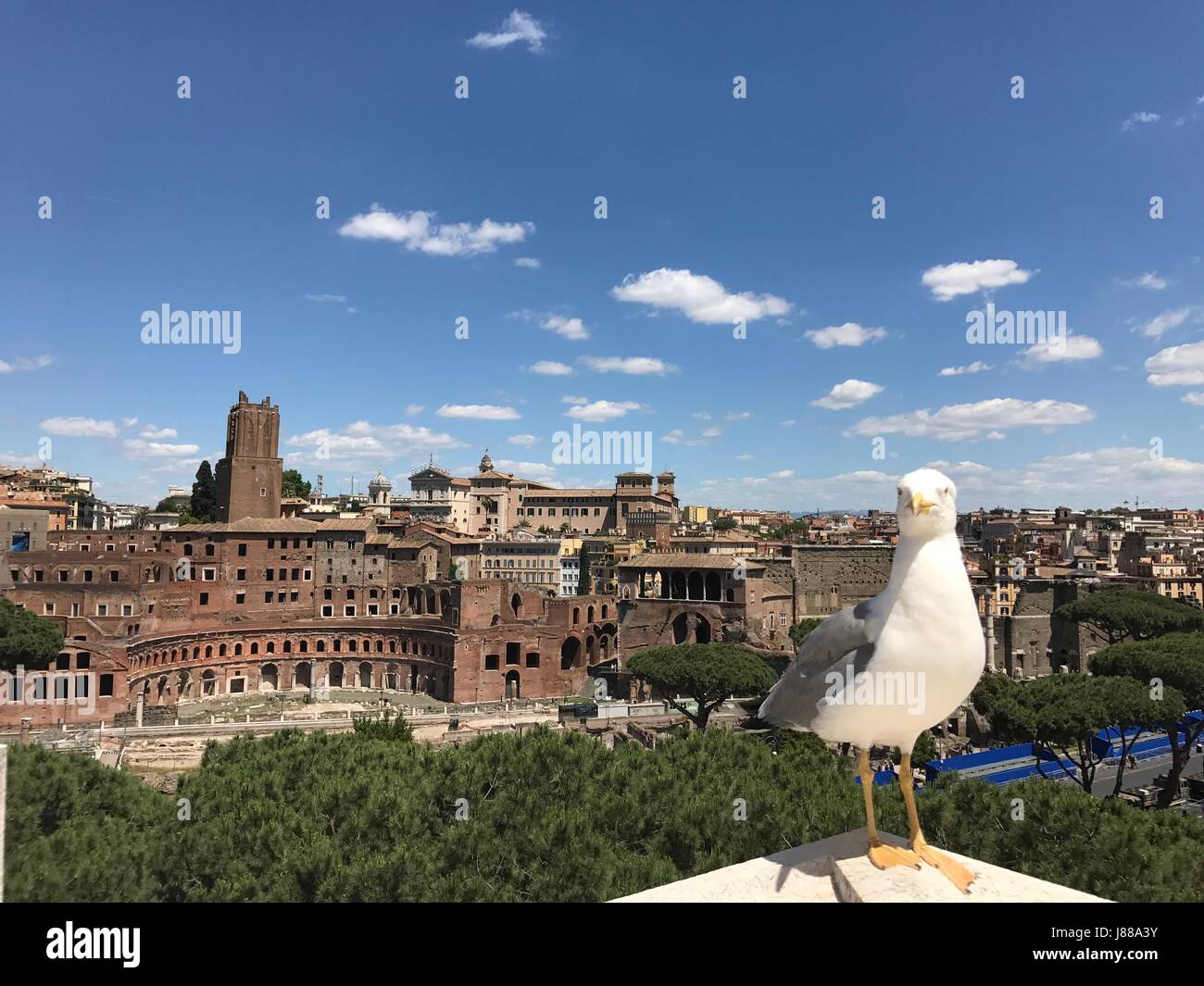 Ruins of Roman Fori Imperiali - Imperial Forum in Rome Stock Photo - Alamy