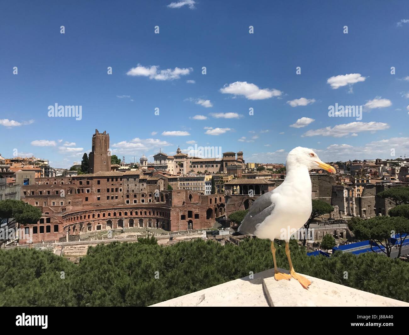 Ruins of Roman Fori Imperiali - Imperial Forum in Rome Stock Photo - Alamy