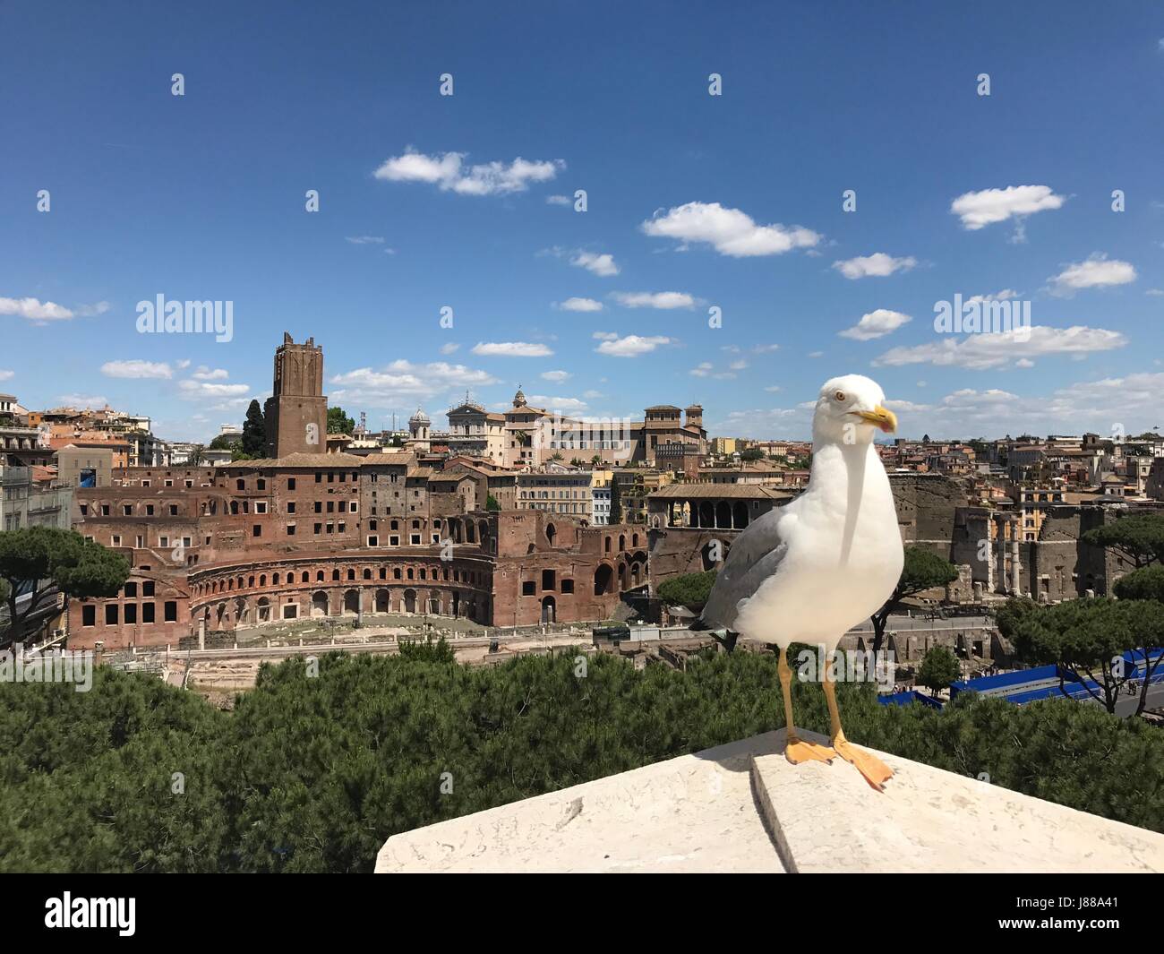 Ruins of Roman Fori Imperiali - Imperial Forum in Rome Stock Photo - Alamy