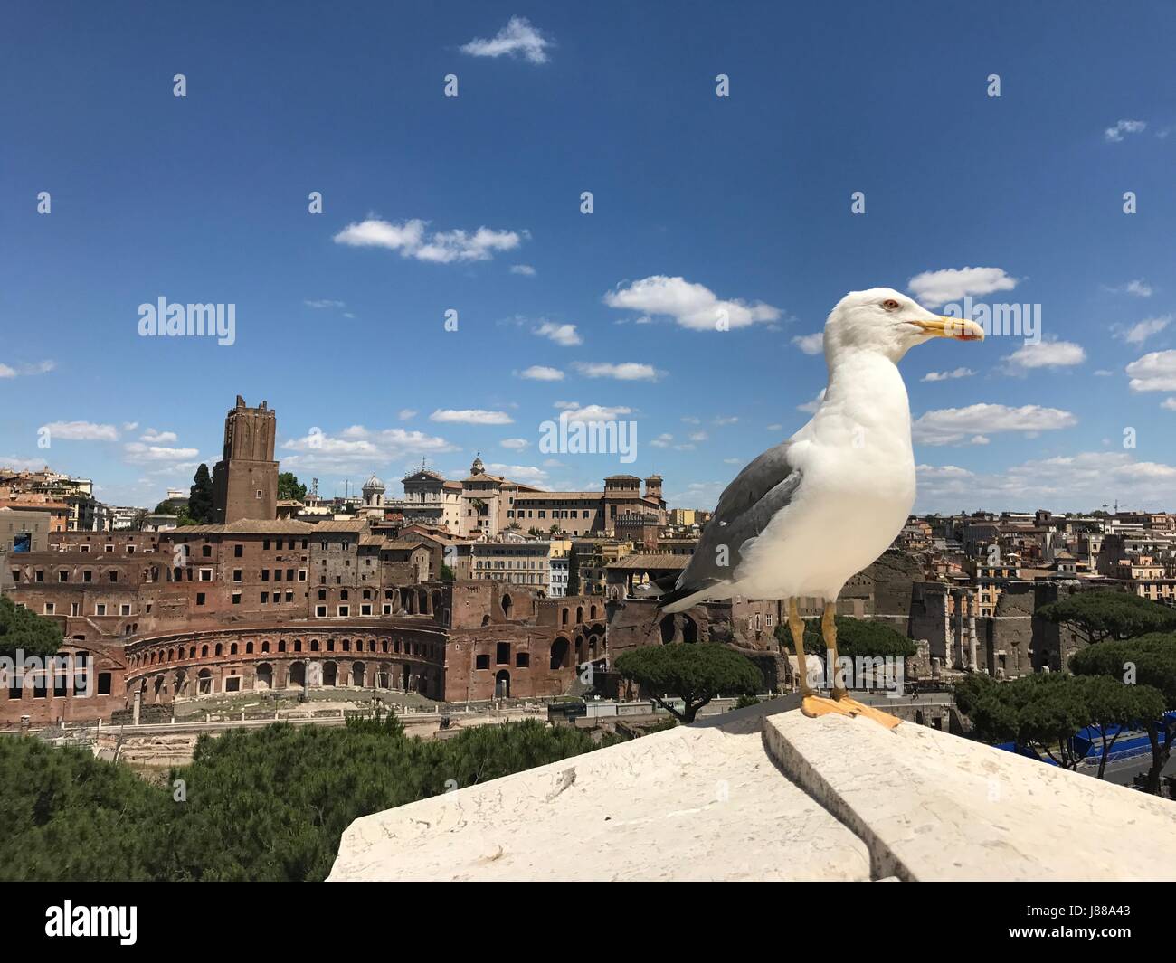 Ruins of Roman Fori Imperiali - Imperial Forum in Rome Stock Photo - Alamy