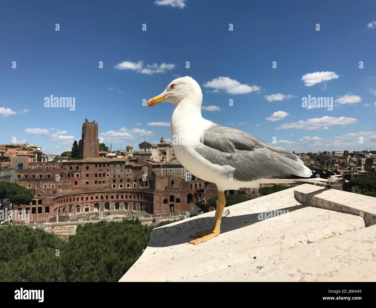 Ruins of Roman Fori Imperiali - Imperial Forum in Rome Stock Photo - Alamy
