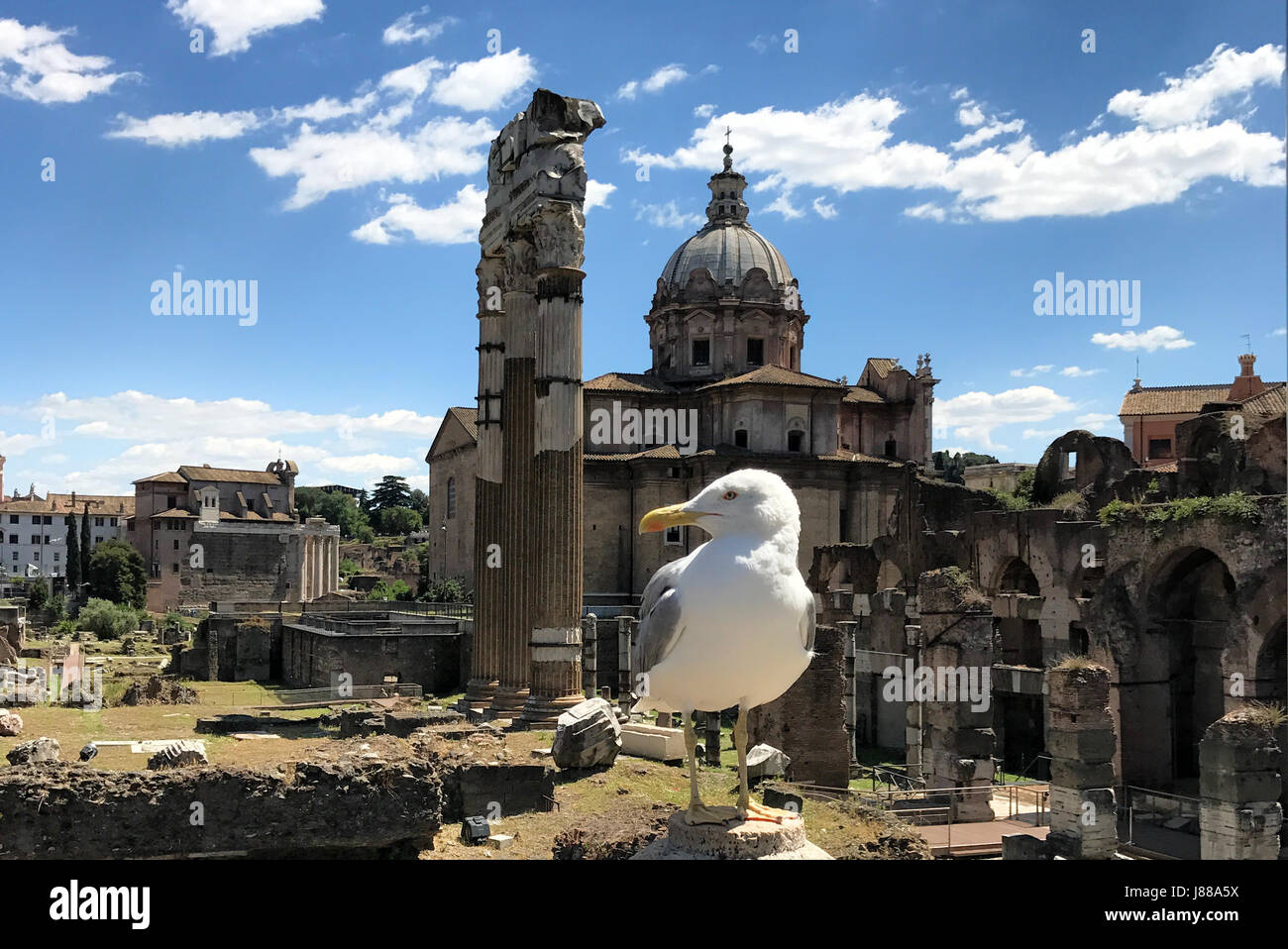 Ruins of Roman Fori Imperiali - Imperial Forum in Rome Stock Photo - Alamy