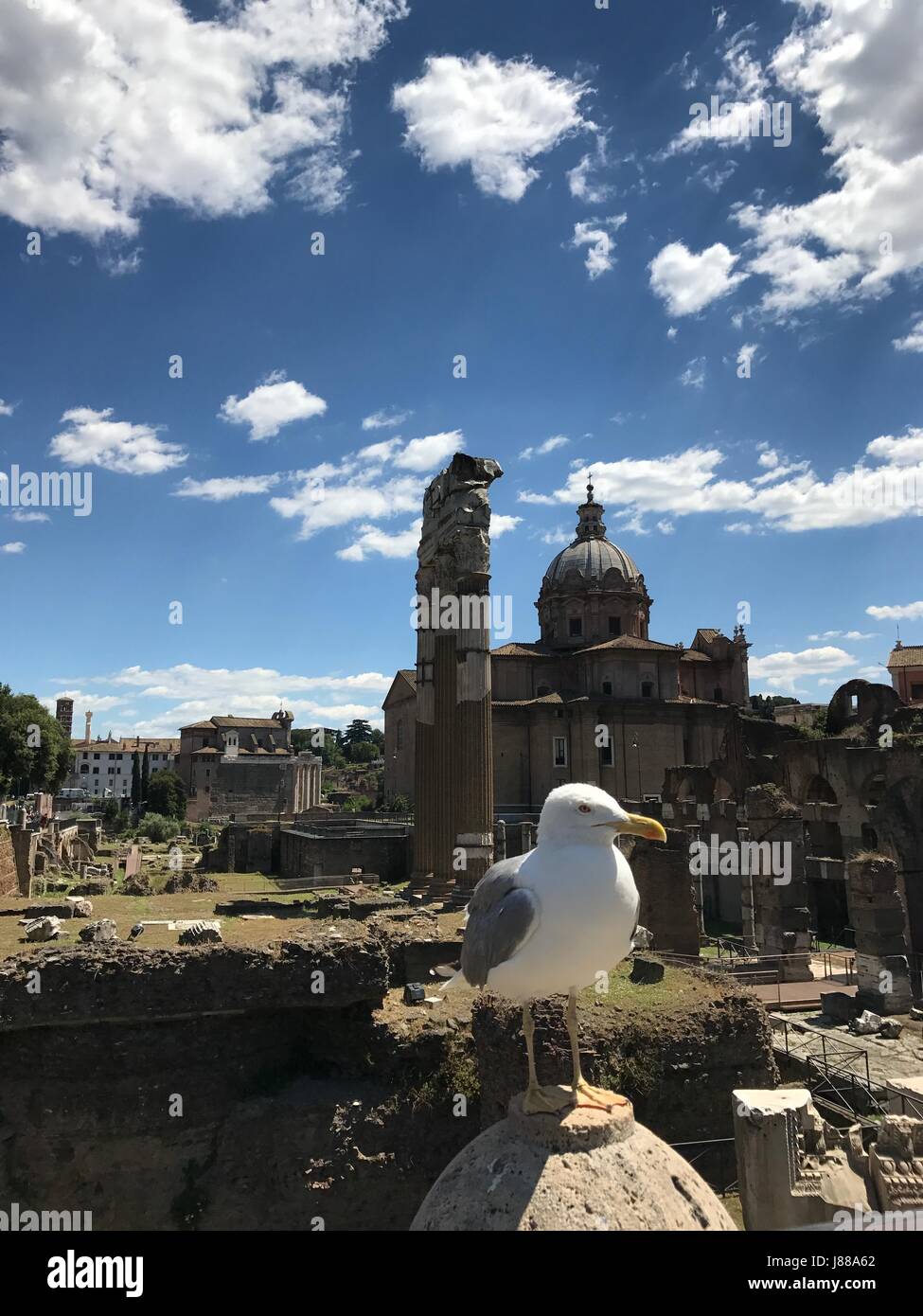 Ruins of Roman Fori Imperiali - Imperial Forum in Rome Stock Photo - Alamy