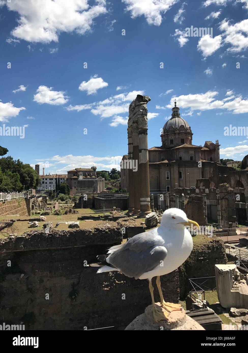 Ruins of Roman Fori Imperiali - Imperial Forum in Rome Stock Photo - Alamy