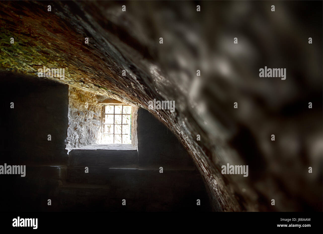 A cellar of an old castle, Germany, Europe Stock Photo - Alamy
