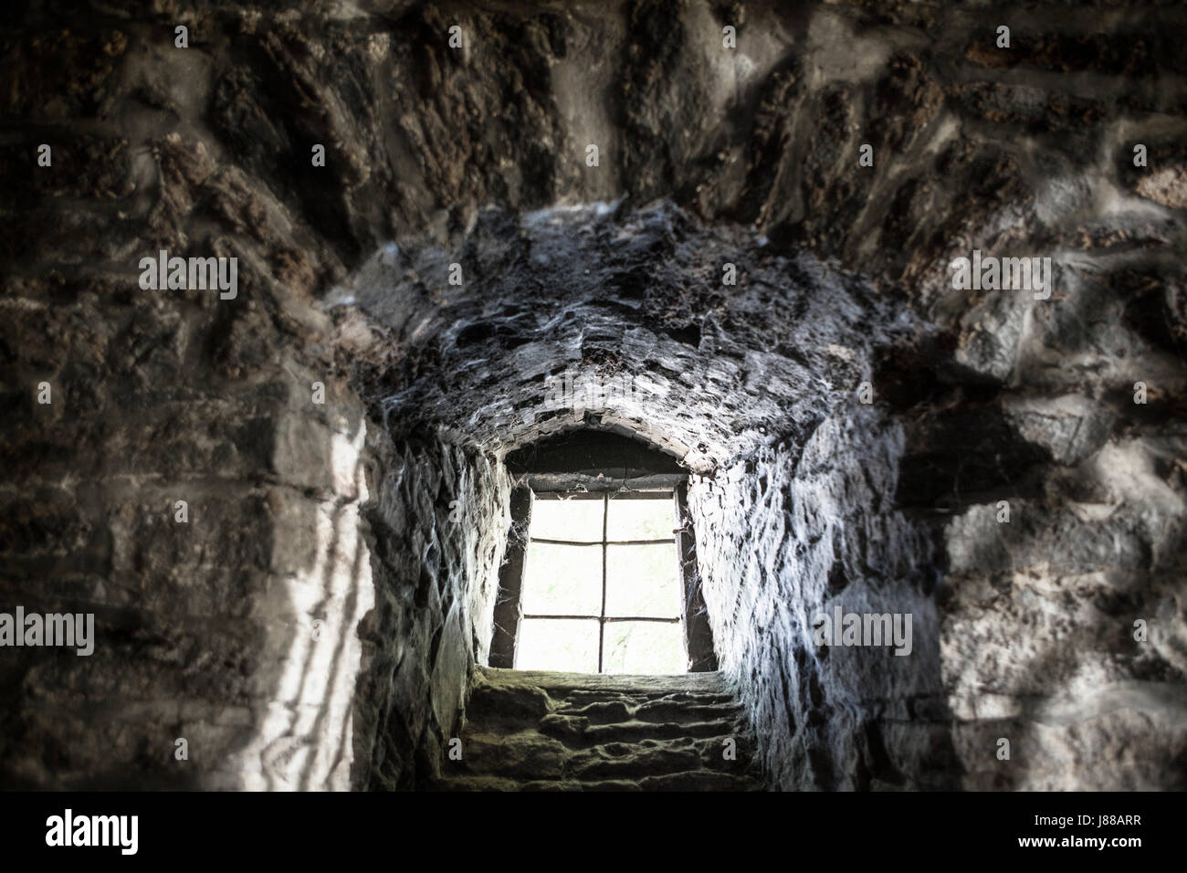 A cellar of an old castle, Germany, Europe Stock Photo - Alamy