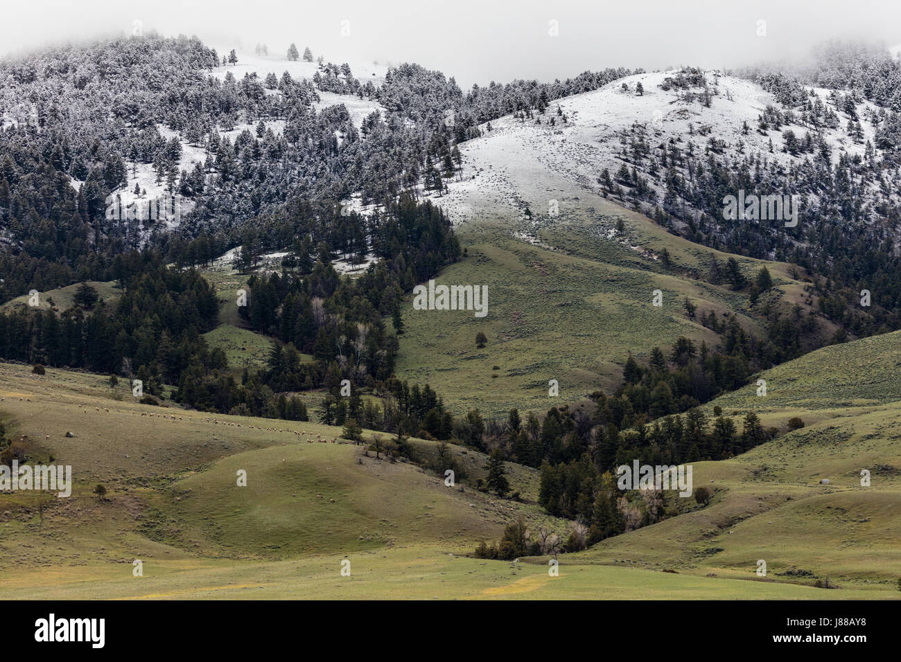 Mt everts hi-res stock photography and images - Alamy