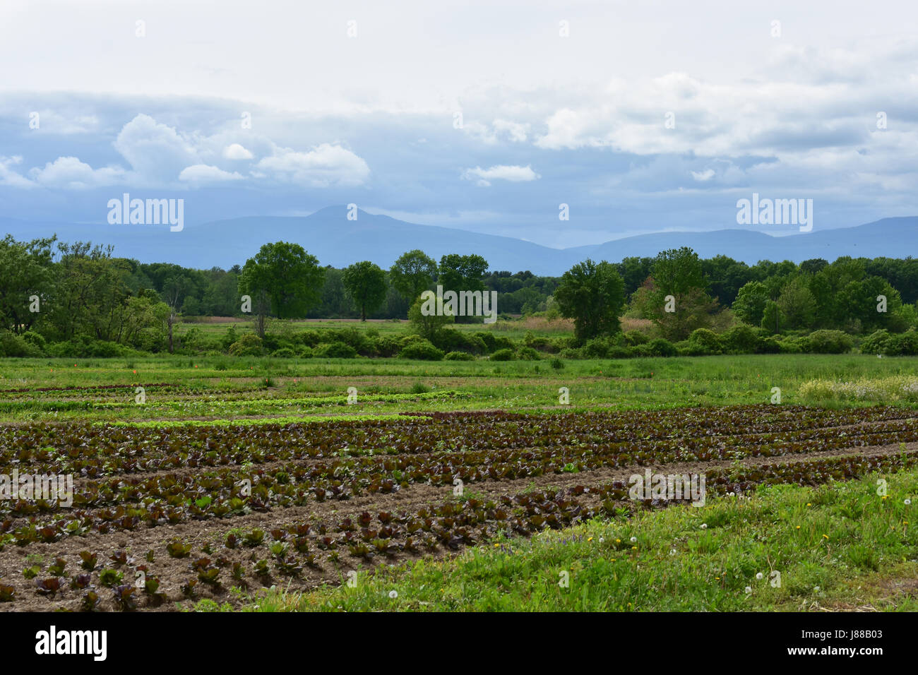 Columbia county new york hi-res stock photography and images - Alamy