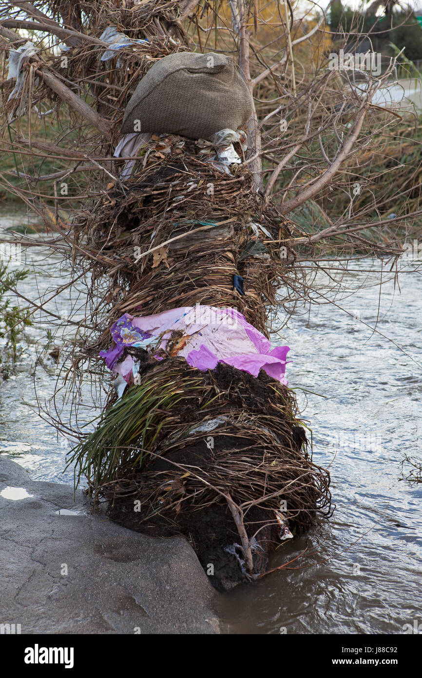 Detritus caught on a tree in the Los Angeles River between Atwater and ...