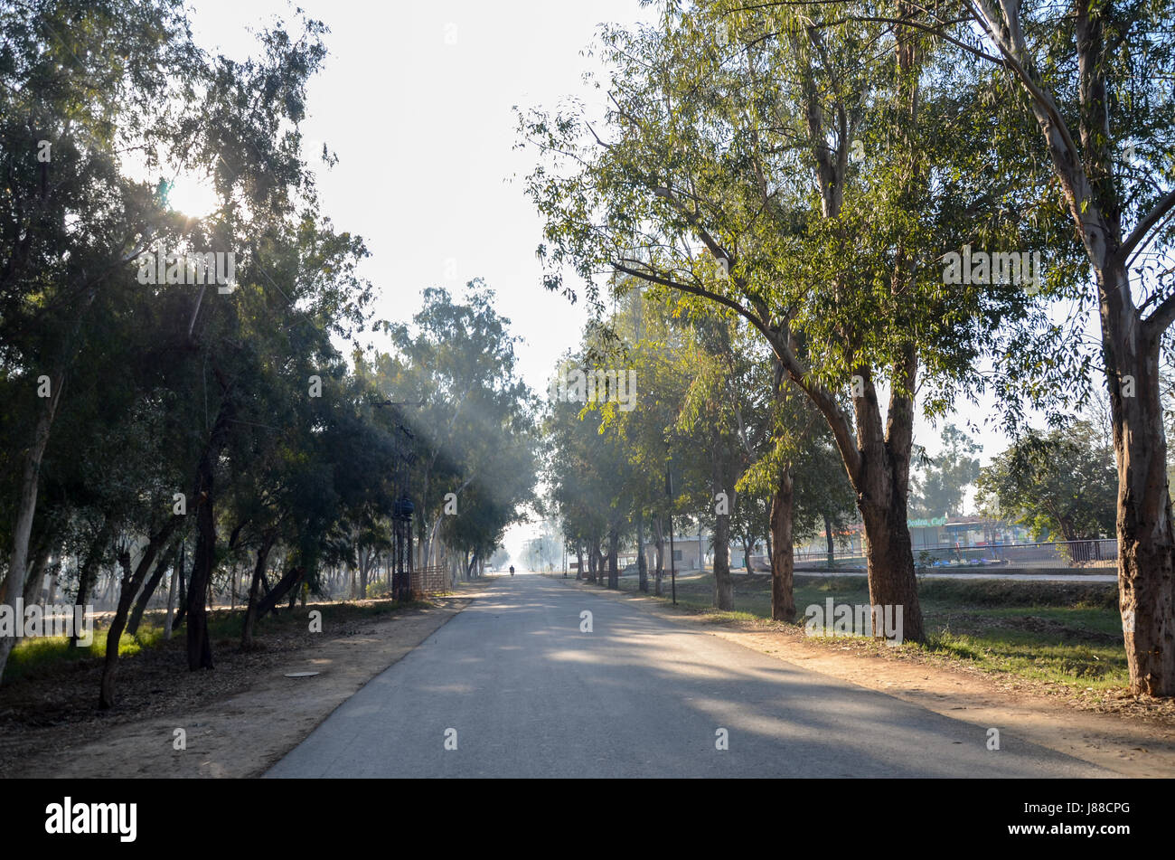 Safari Park, Lahore, Punjab, Pakistan Stock Photo - Alamy