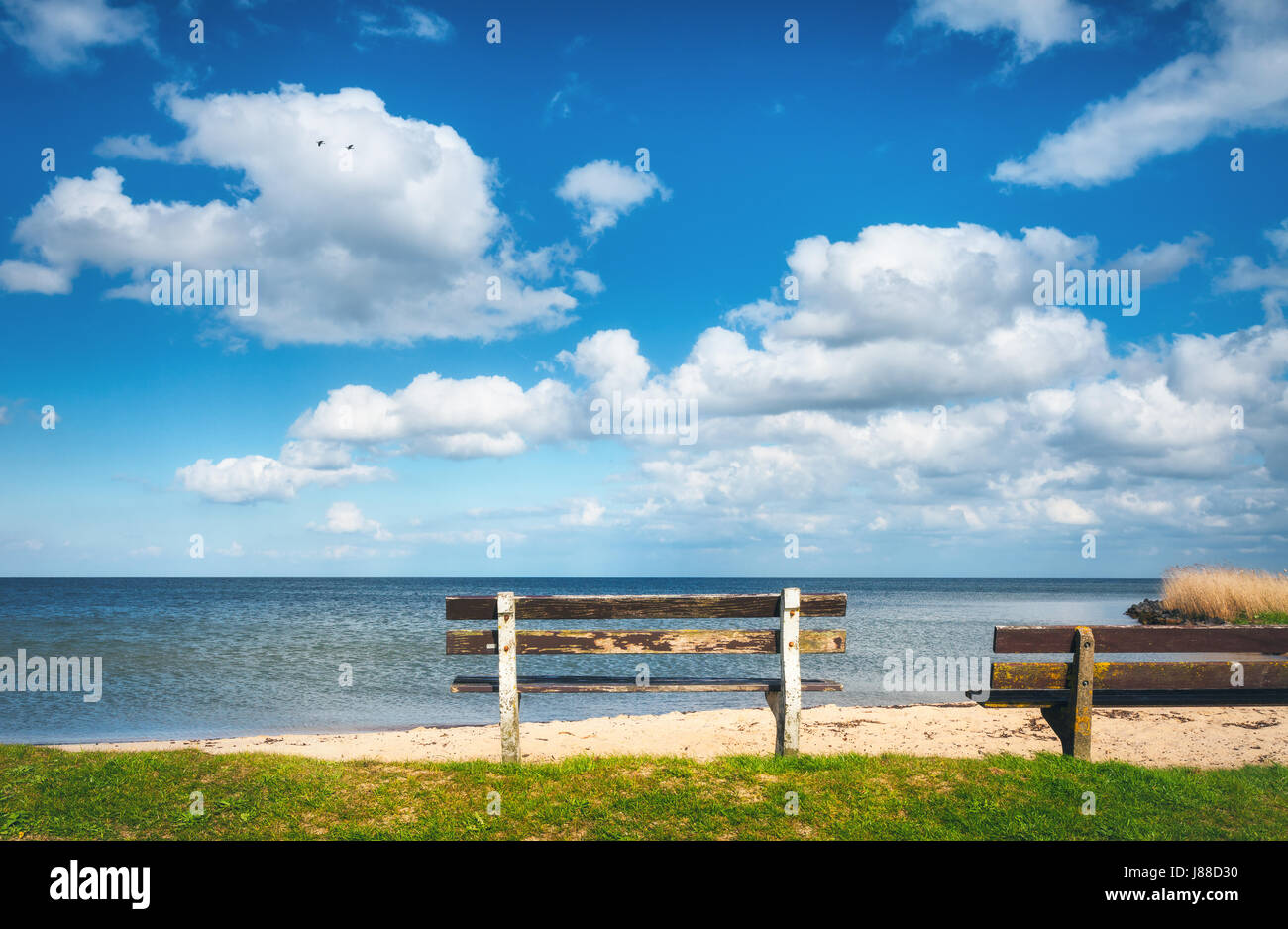 Bench on the sandy beach at the sea on the background of colorful blue ...