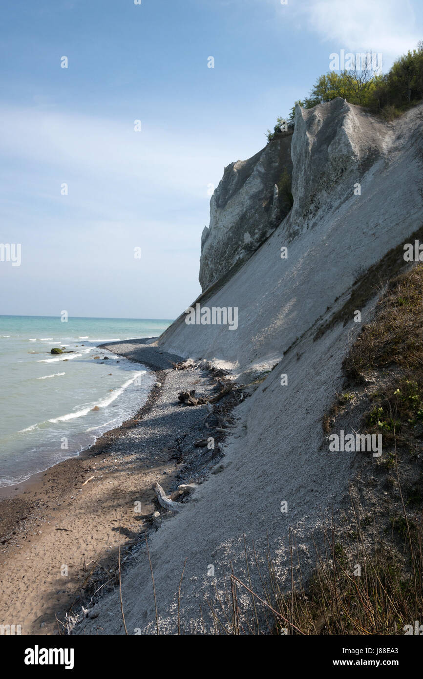 Møns Klint chalk cliffs, Møn Island, Denmark, Europe Stock Photo - Alamy
