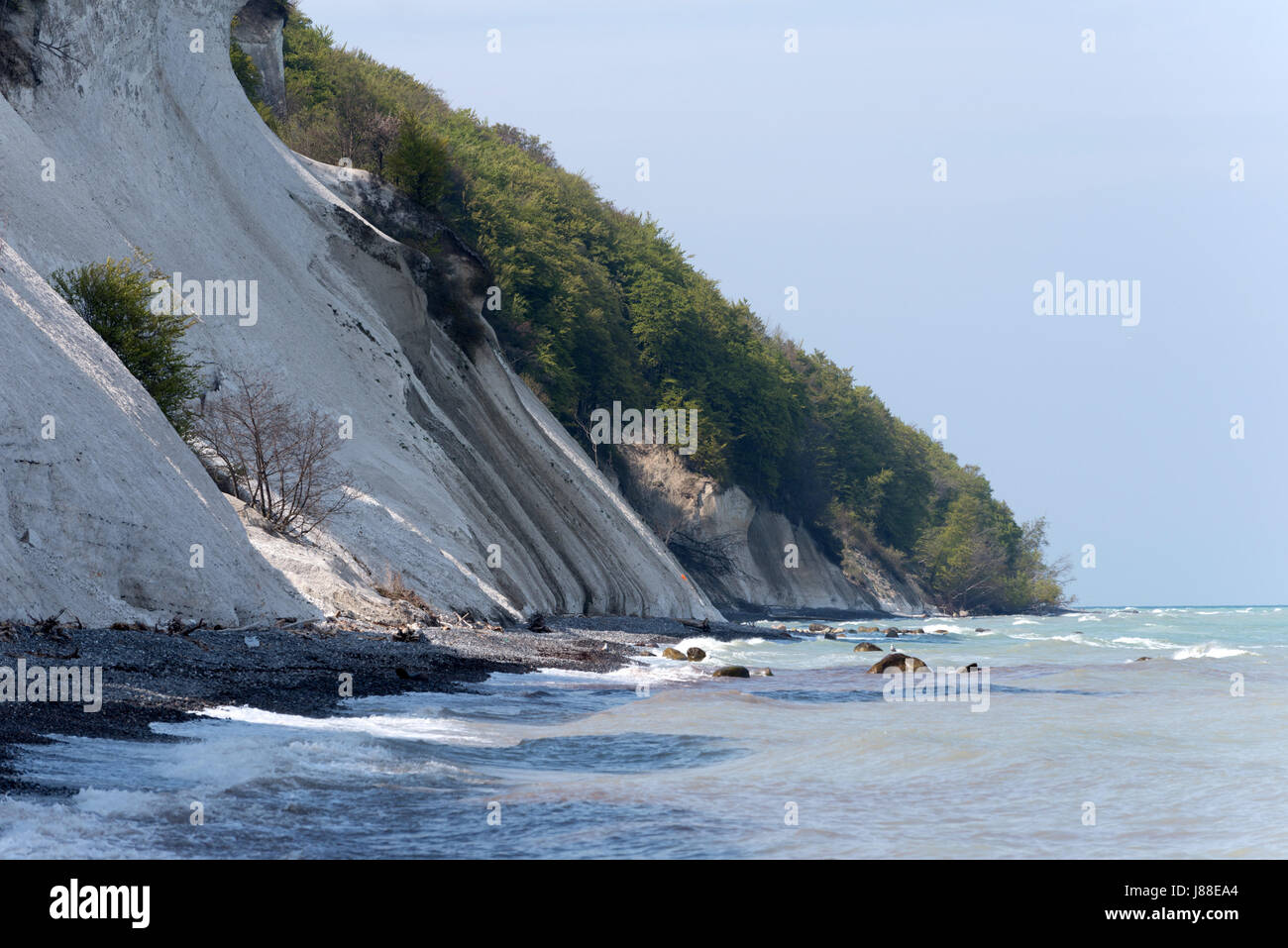 Møns Klint chalk cliffs, Møn Island, Denmark, Europe Stock Photo - Alamy