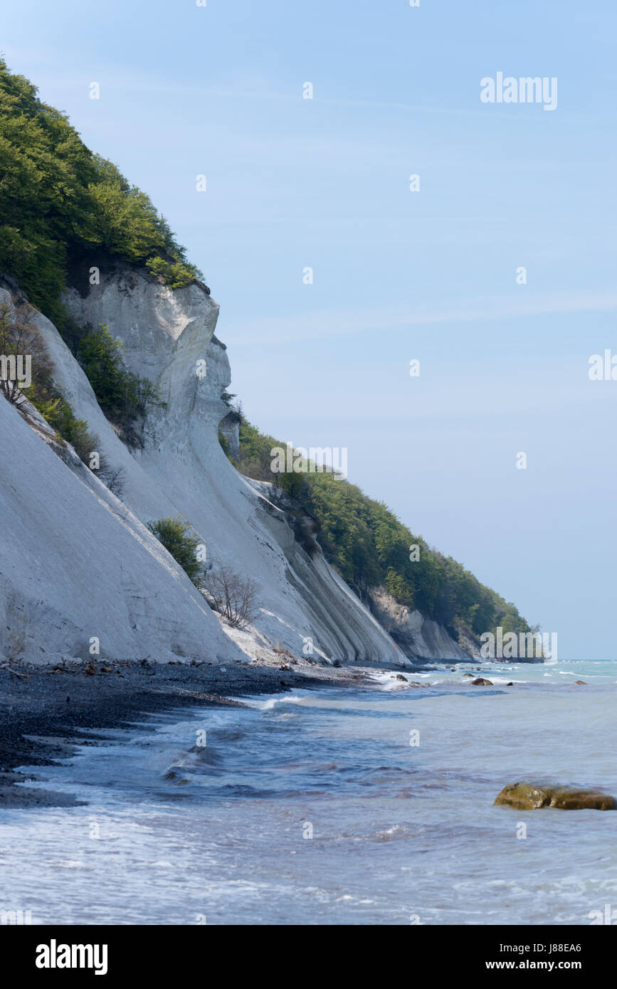 Møns Klint chalk cliffs, Møn Island, Denmark, Europe Stock Photo - Alamy