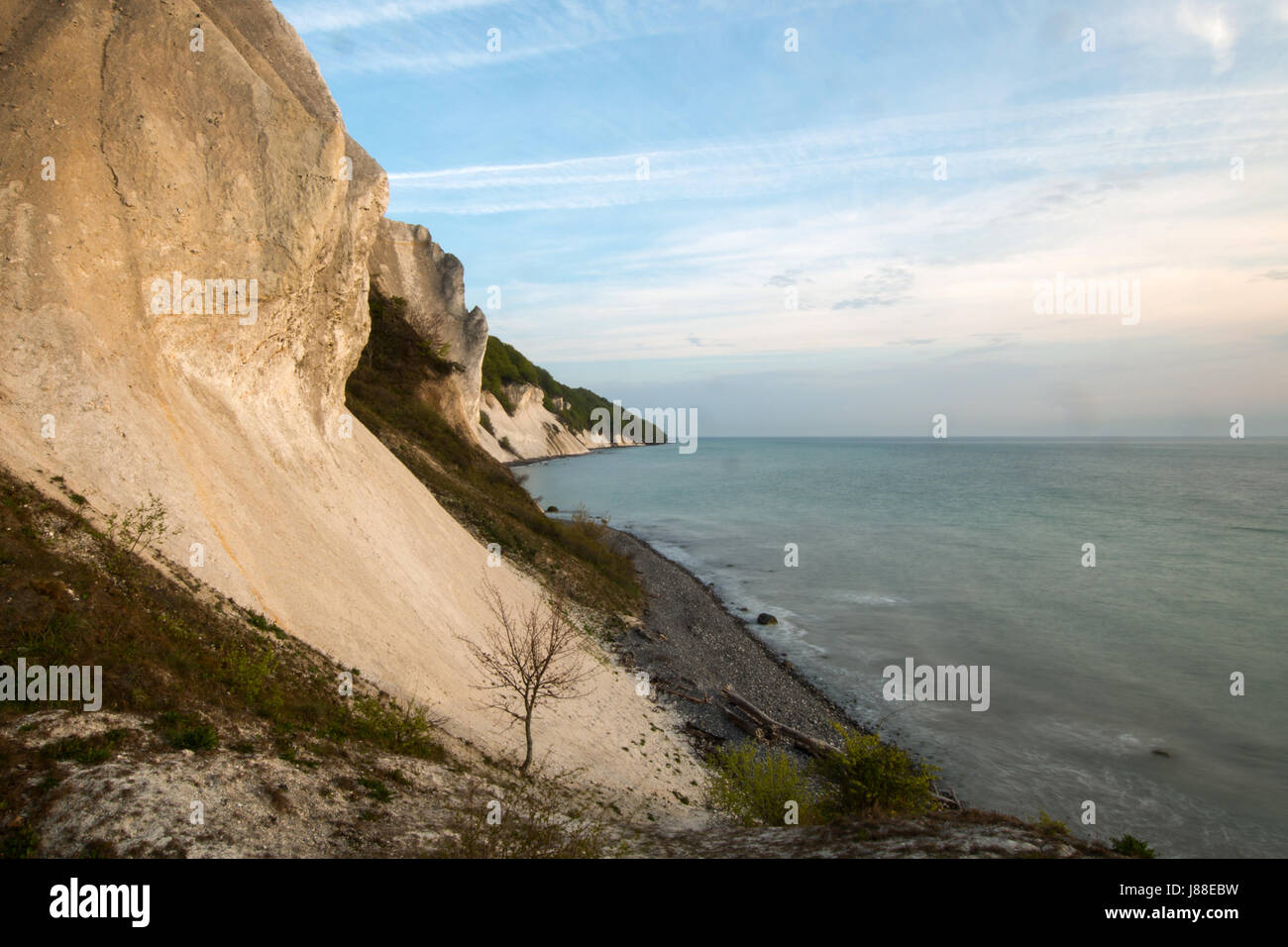 Møns Klint chalk cliffs, Møn Island, Denmark, Europe Stock Photo - Alamy
