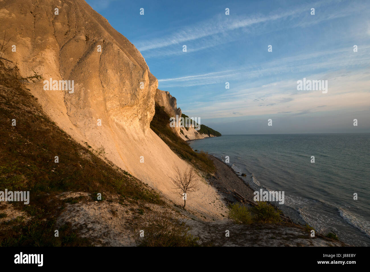 Møns Klint chalk cliffs, Møn Island, Denmark, Europe Stock Photo - Alamy