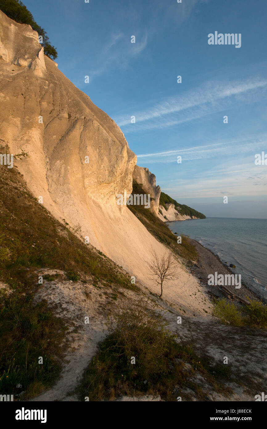 Møns Klint chalk cliffs, Møn Island, Denmark, Europe Stock Photo - Alamy