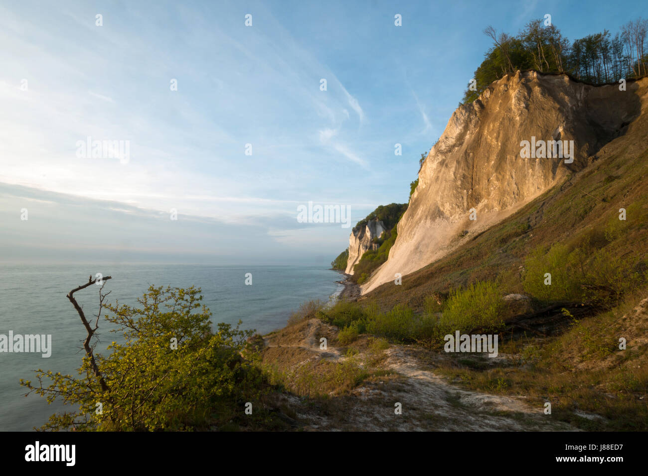 Møns Klint chalk cliffs, Møn Island, Denmark, Europe Stock Photo - Alamy
