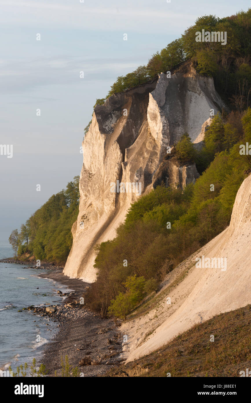 Møns Klint chalk cliffs, Møn Island, Denmark, Europe Stock Photo - Alamy