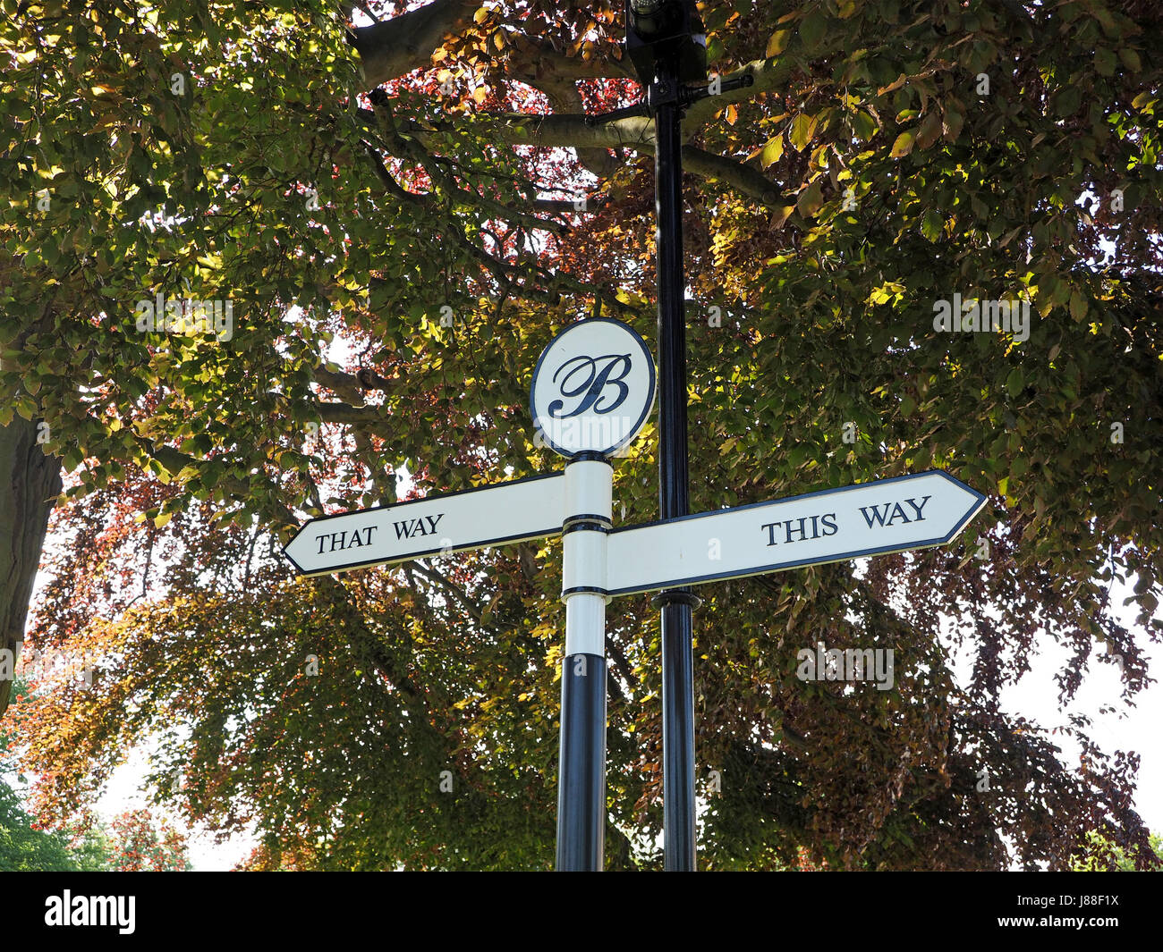Replica old metal painted fingerpost signpost indicating This Way, That ...