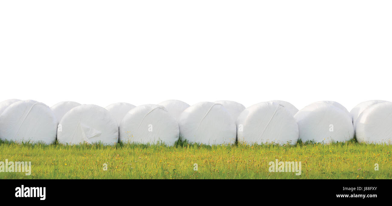 White hay rolls green field hi-res stock photography and images - Alamy