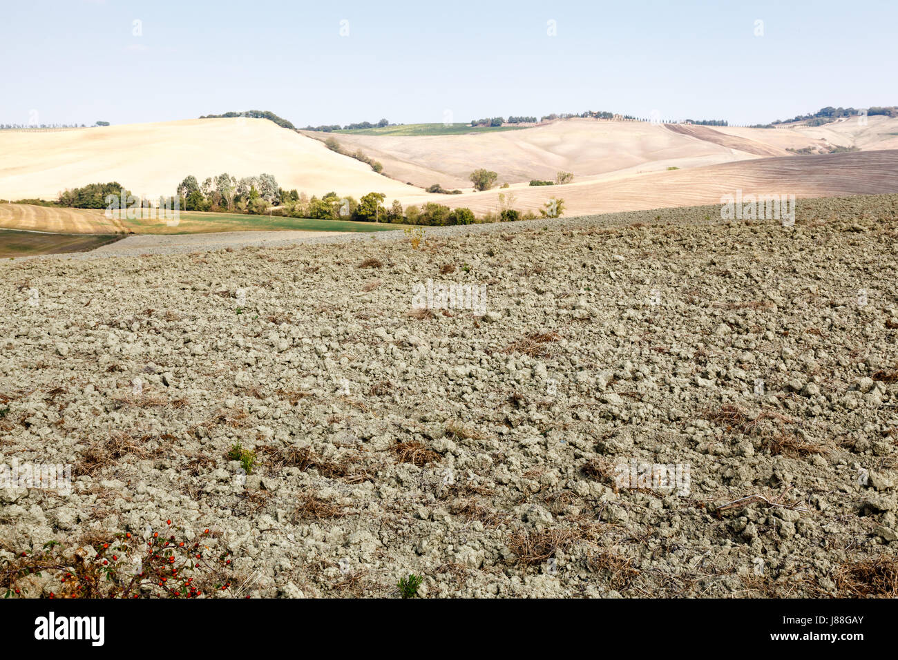 Tuscan Country near Montalcino, Tuscany, Italy Stock Photo - Alamy