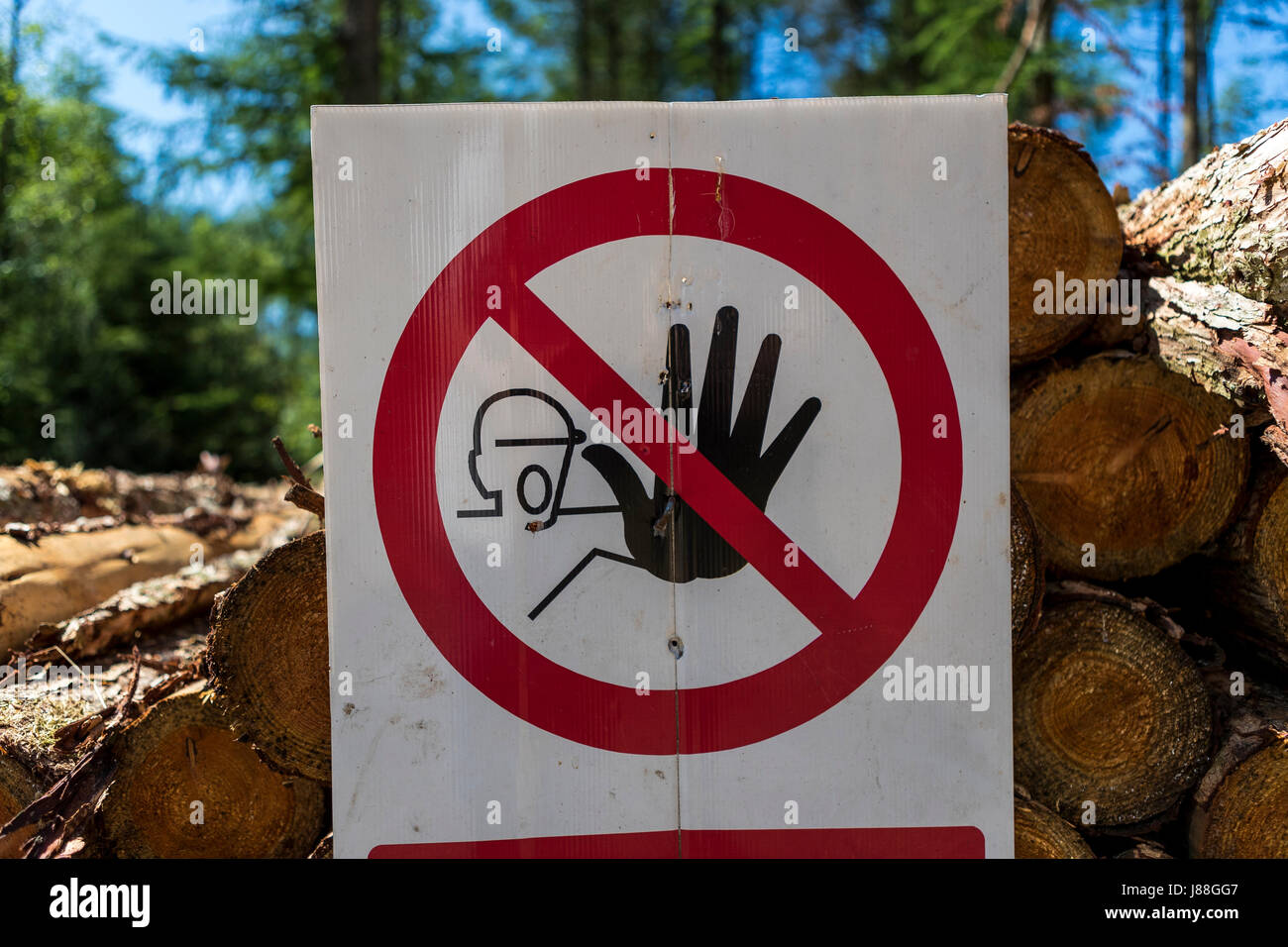 Keep off the logs warning sign. Worgreens and Speech House Woods ...