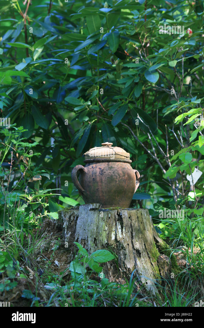 art, antique, pot, forest, art, green, wood, antique, trunk, exposition ...