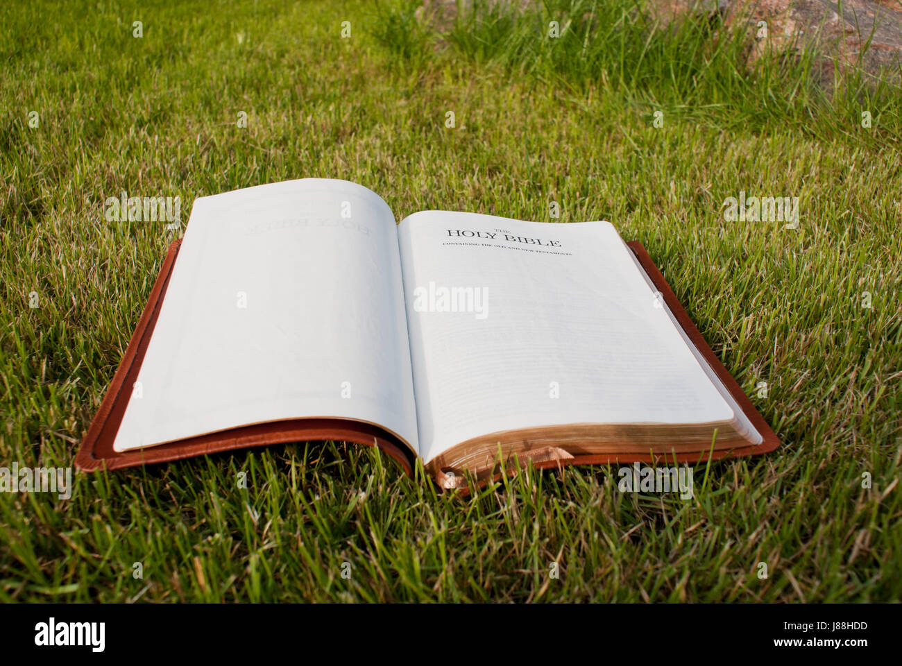 religion, open, one, bible, data, informations, substratums, facts ...