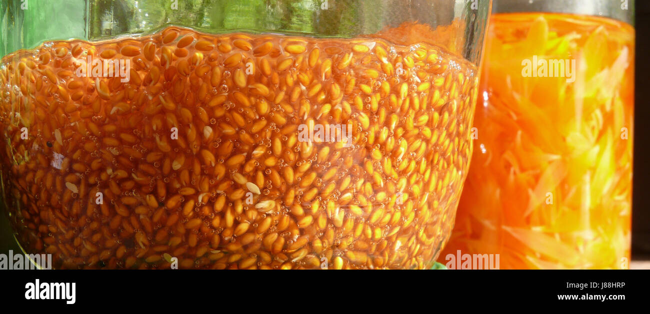 Marigold seeds germination hi-res stock photography and images - Alamy
